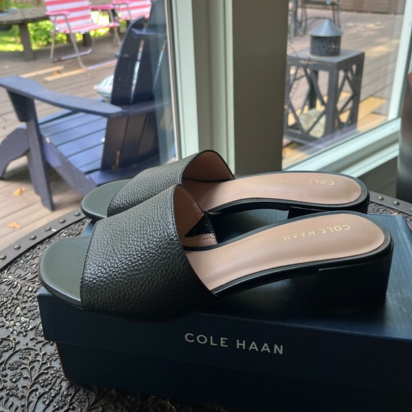 Cole Haan | Shoes | Cole Haan Calli Single Band Slide Sandals Black 8 ...